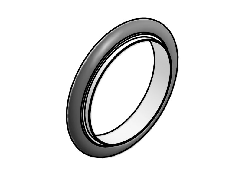 100312606 Centering Ring Seal Assembly
